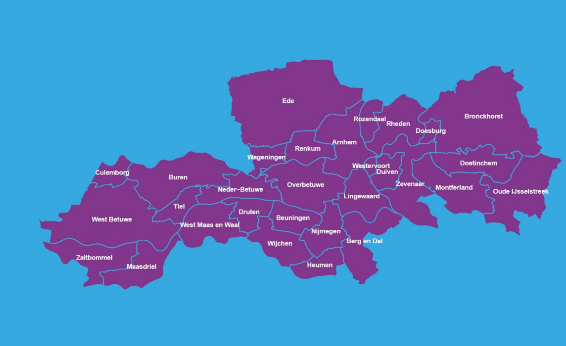 ROAZ-beeld Acute Zorgregio Oost - Acute Zorgregio Oost